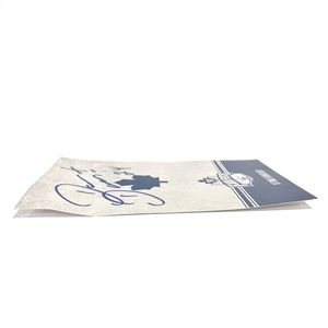 Toronto Maple Leafs | Other | Toronto Maple Leafs Hockey Player ...